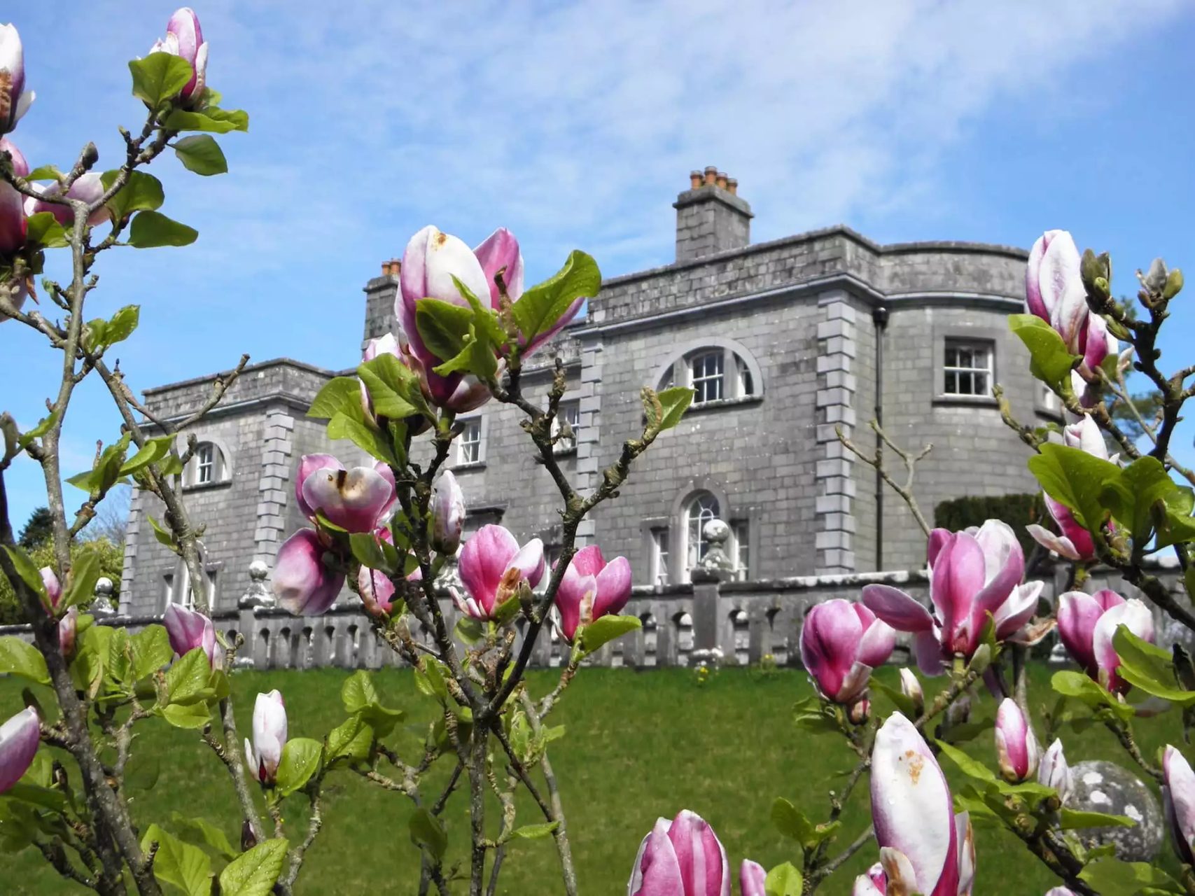 What's On - Belvedere House